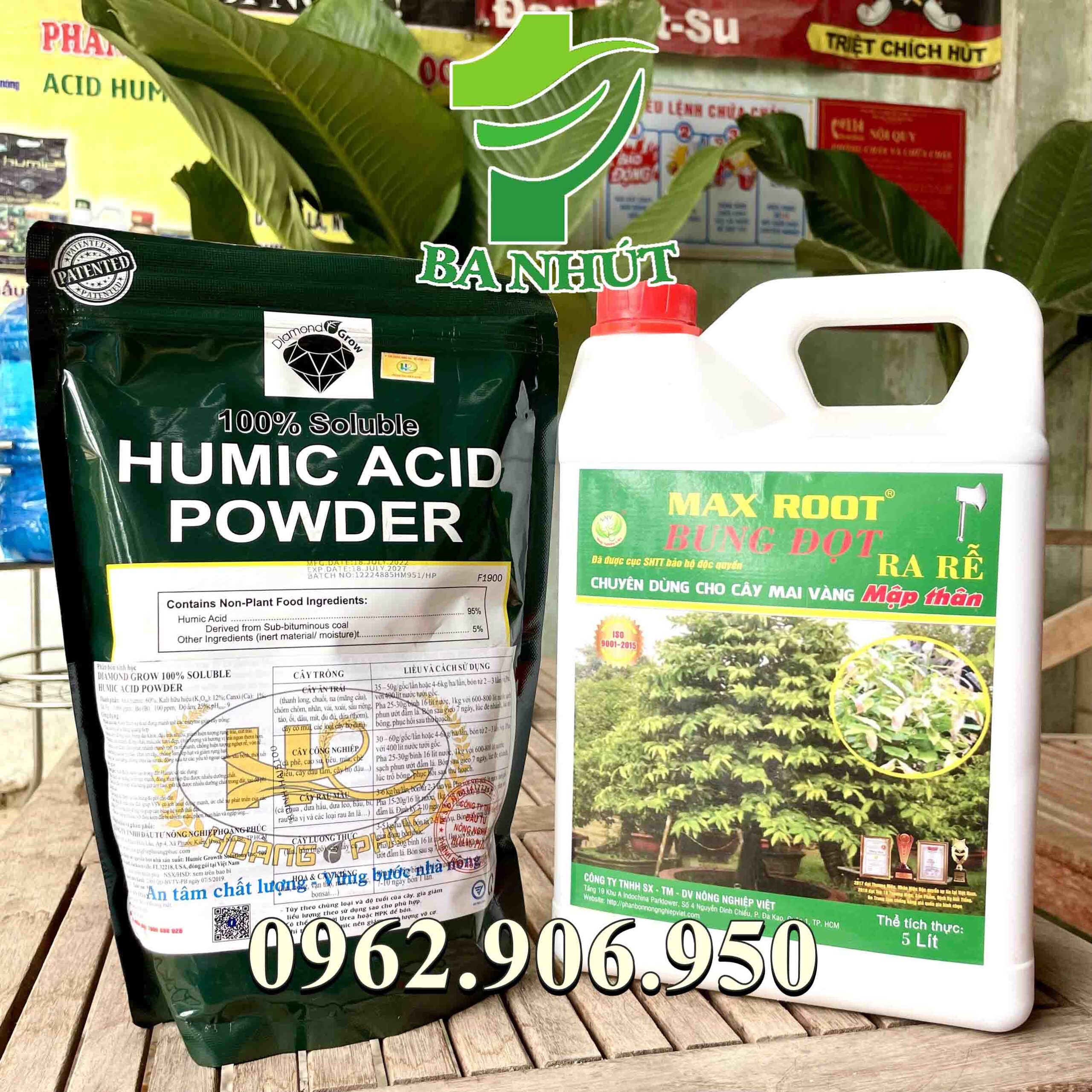 Combo HUMIC MỸ 1Kg Và MAX ROOT BUNG ĐỌT 5 Lit– Dưỡng Cây Khỏe, Ra Rễ ...