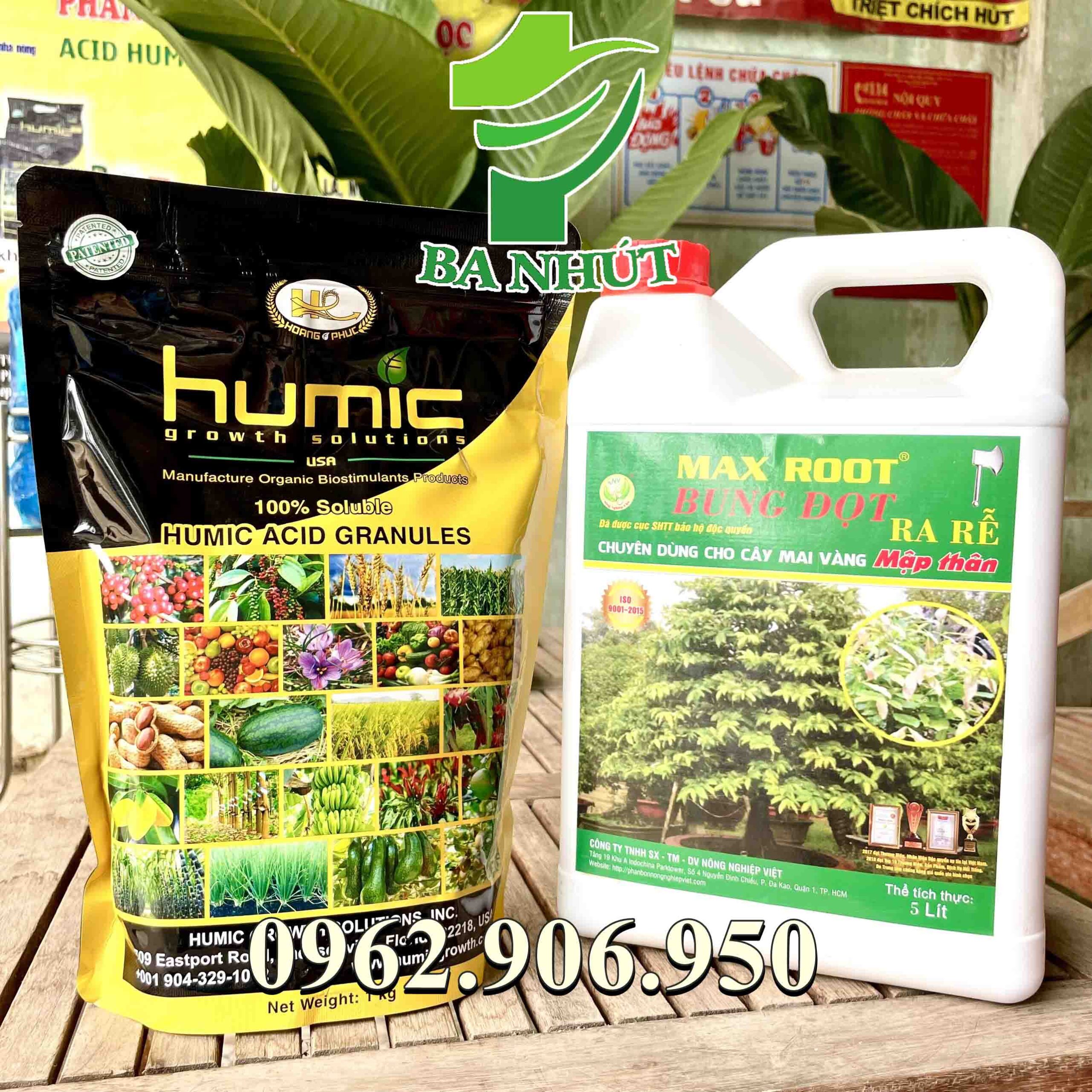 Combo HUMIC MỸ 1Kg Và MAX ROOT BUNG ĐỌT 5 Lit– Dưỡng Cây Khỏe, Ra Rễ ...