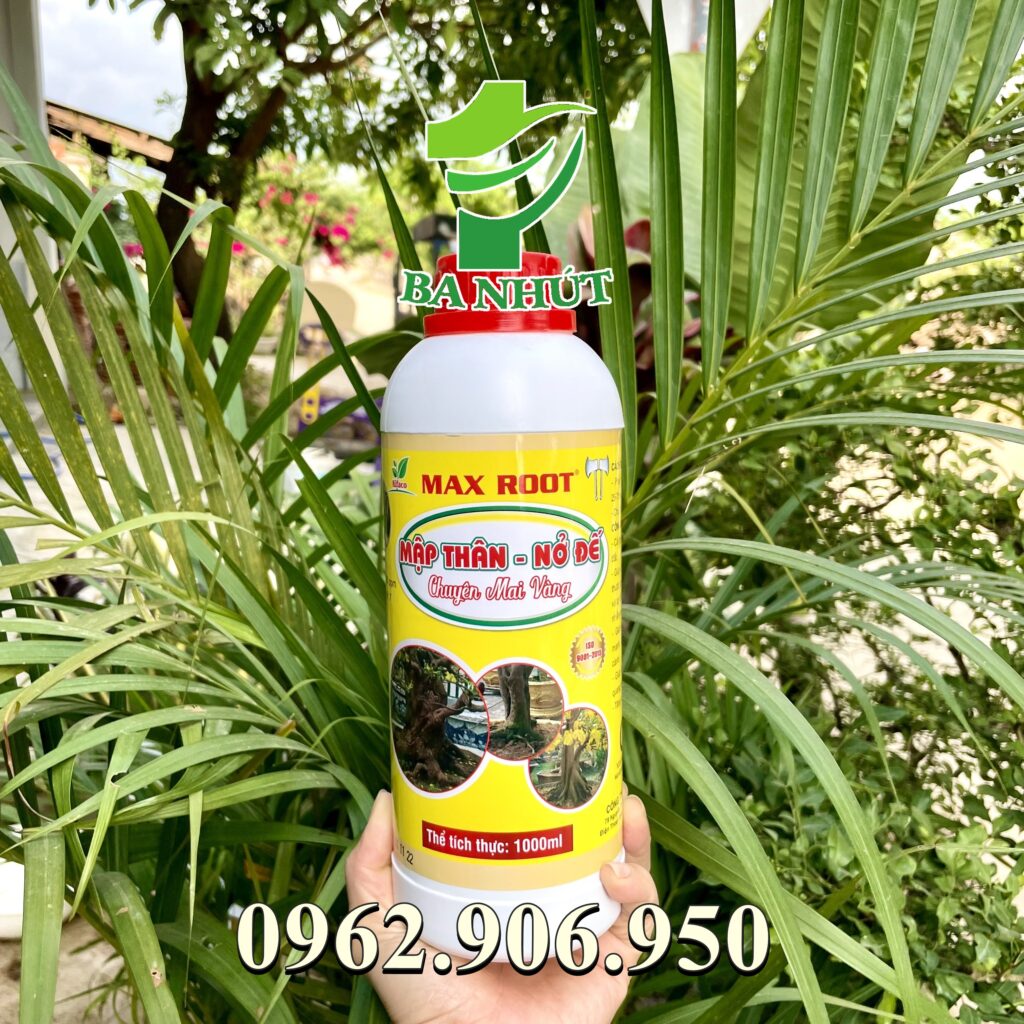 Phân Bón Mập Thân Nở Đế Chuyên Dùng Cho Mai Vang Max Root Chai 1 Lít – VTNN BA NHỨT