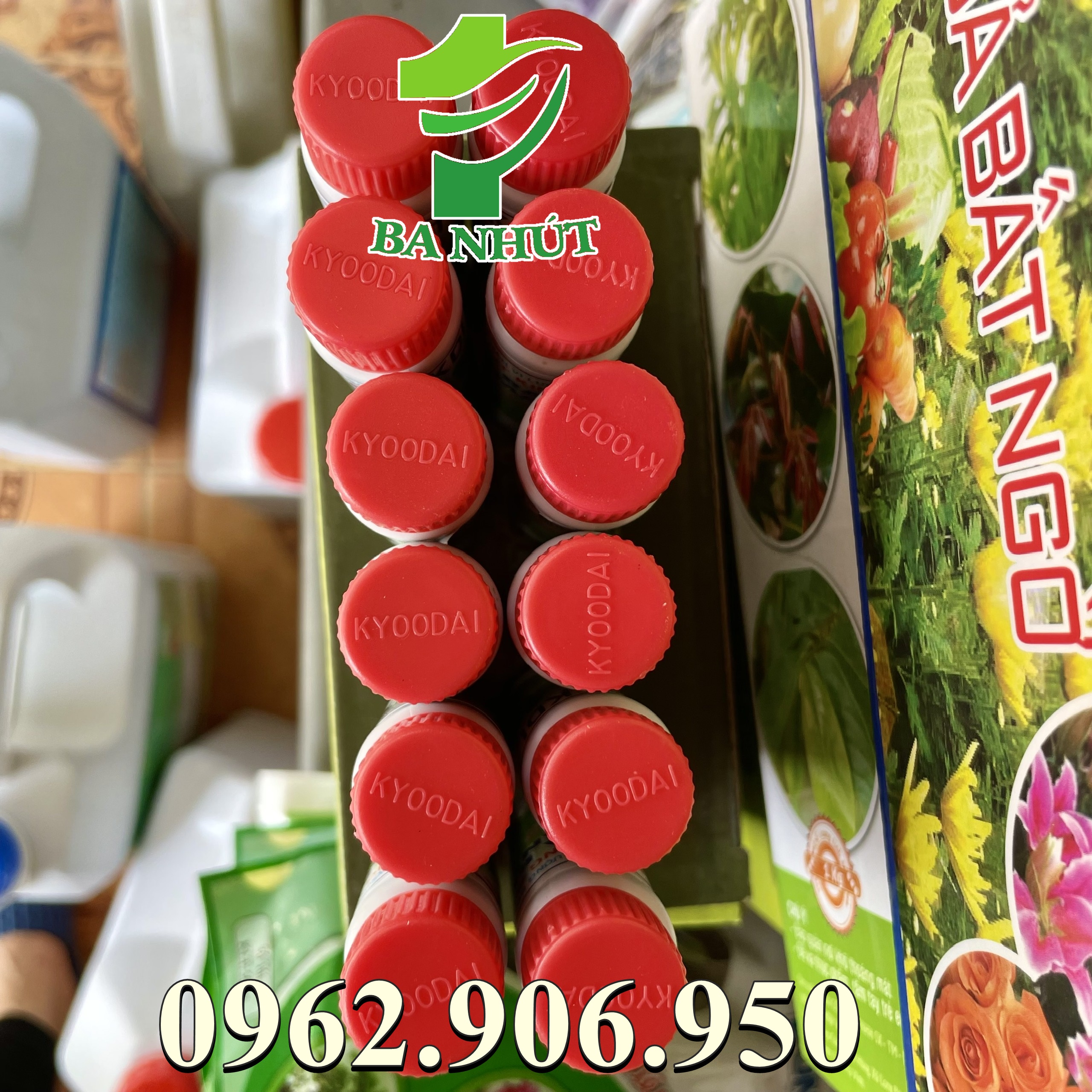 1 HỘP 30 ỐNG 20ml Kích Thích Ra Rễ Cực Mạnh ROOT KING Hàng Đẹp, Chuyên ...