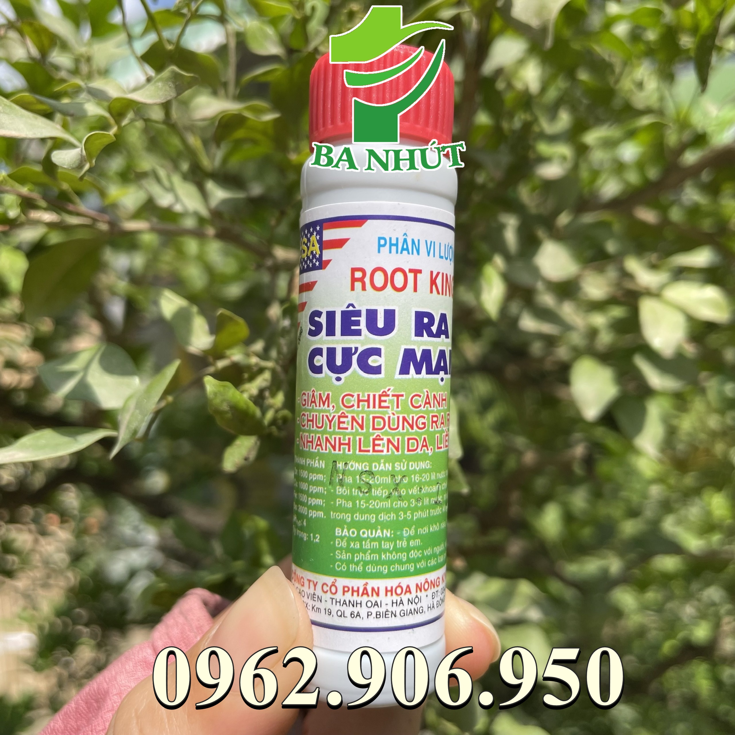 1 HỘP 30 ỐNG 20ml Kích Thích Ra Rễ Cực Mạnh ROOT KING Hàng Đẹp, Chuyên ...